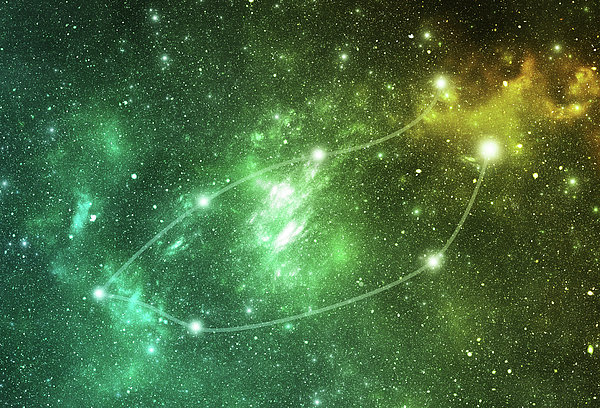 Constellations. Piscis Austrinus Psa Greeting Card by Sololos