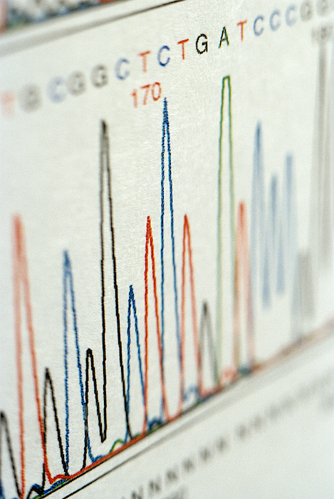 Dna Sequence Chromatograms Greeting Card by Mark Harmel