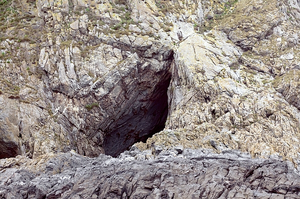 Paviland Cave Greeting Card by David Woodfall Images / Science Photo ...
