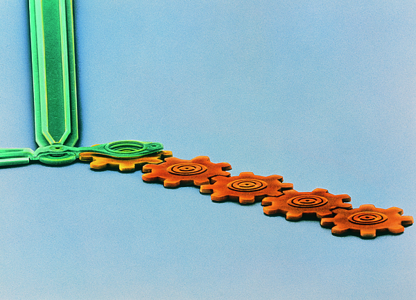Scanning Electron Micrograph Of Micromotor Gears Greeting Card by ...