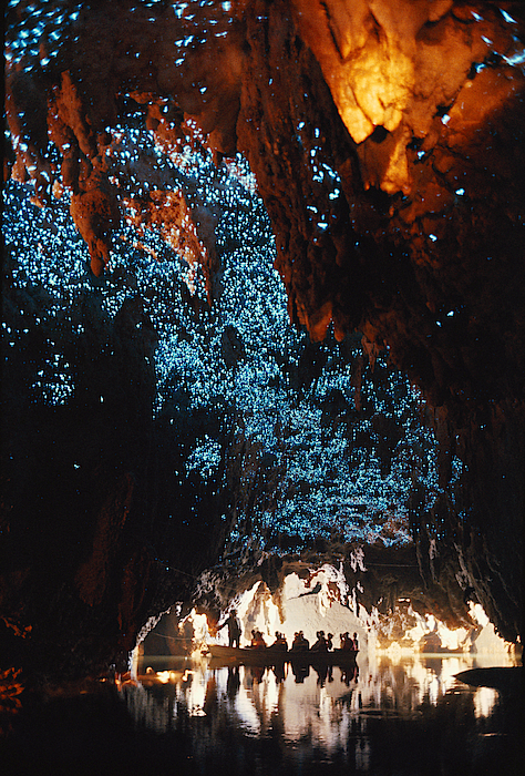 Waitomo Glowworm Caves, New Zealand Greeting Card by Brian Brake