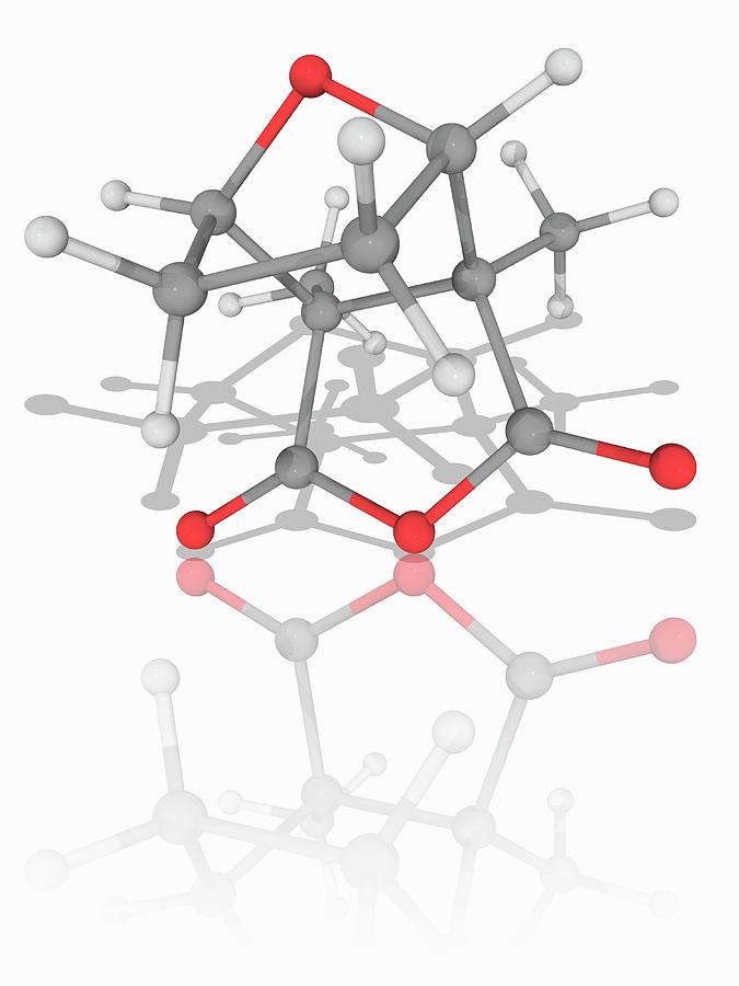 Cantharidin Organic Compound Molecule #1 by Laguna Design / Science ...