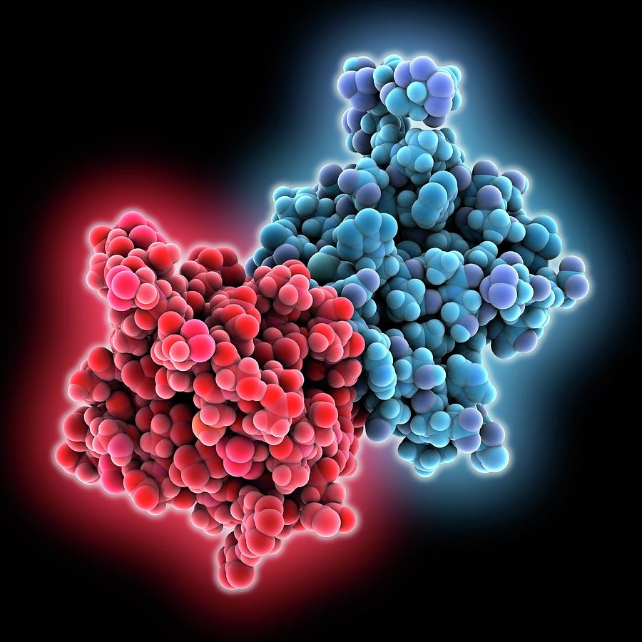 Death Domain Of Neurotrophin Receptor #1 by Laguna Design / Science ...