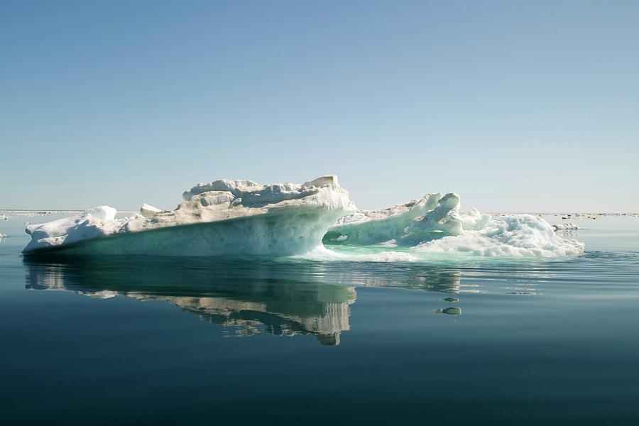 Midnight Sun #1 by Louise Murray / Science Photo Library