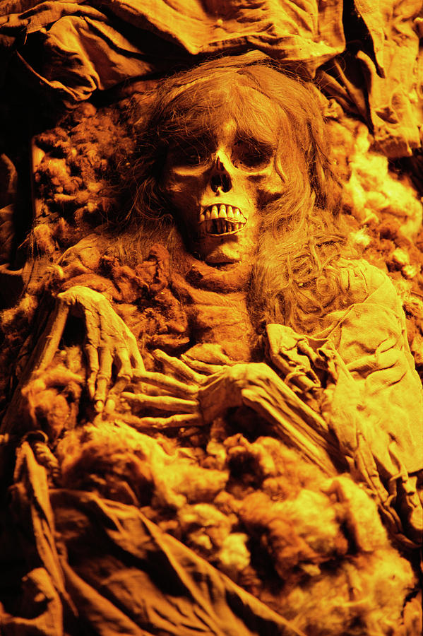 Inca Mummy #2 by Pasquale Sorrentino / Science Photo Library