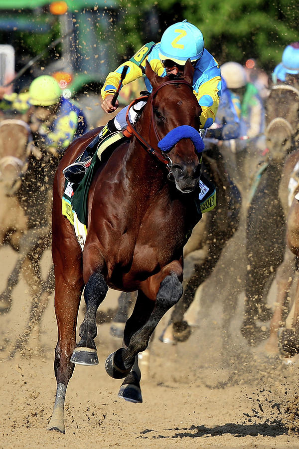 2015 Kentucky Derby by Andy Lyons