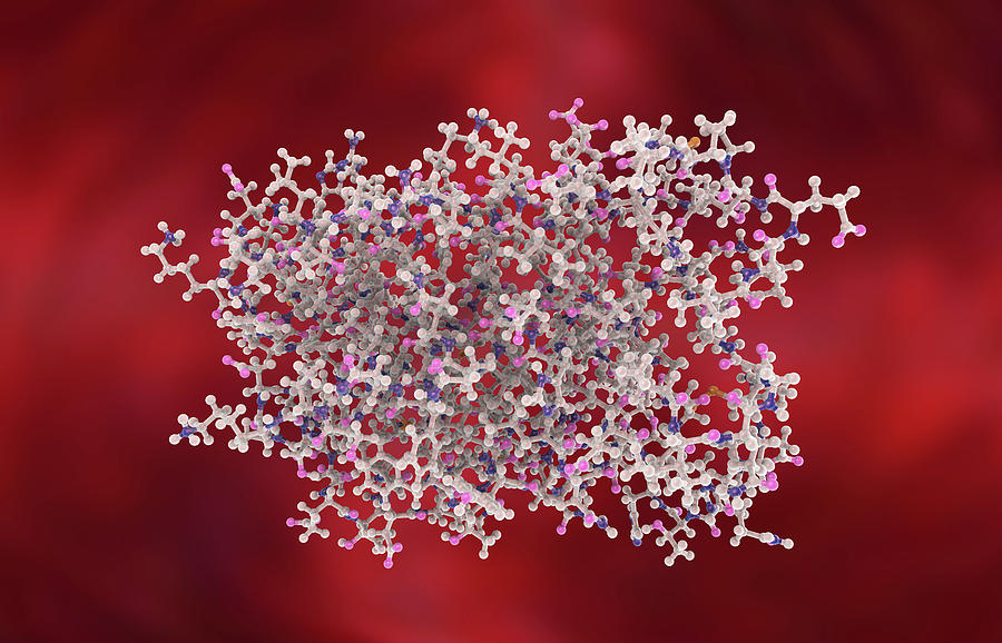 Human Interferon Alpha Molecule #3 by Kateryna Kon / Science Photo Library