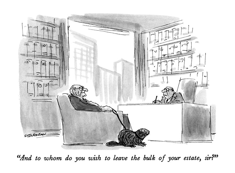 And To Whom Do You Wish To Leave The Bulk by James Stevenson