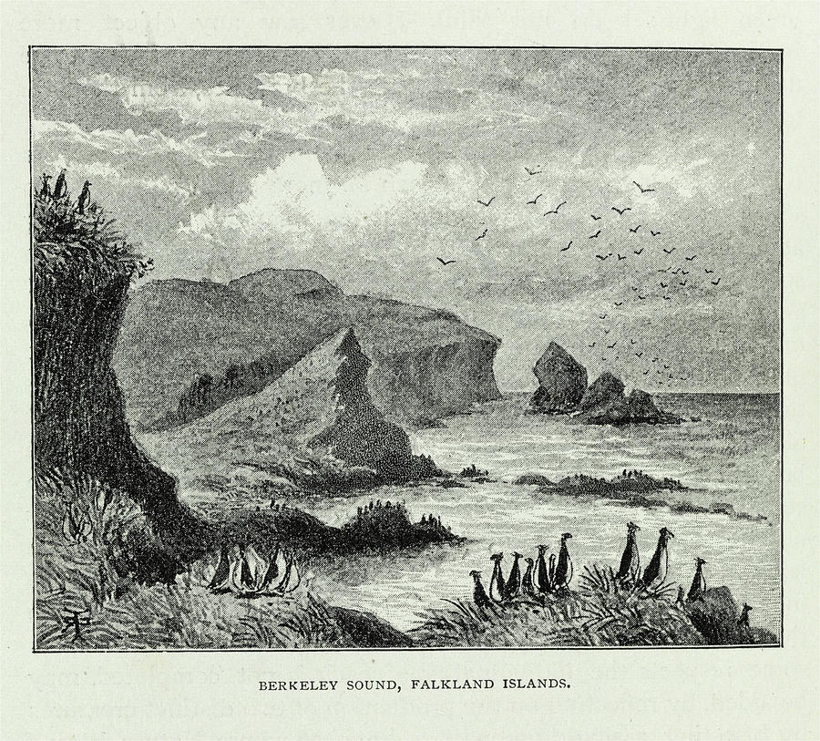 Berkeley Sound by "Natural History Museum, London / Science Photo Library"