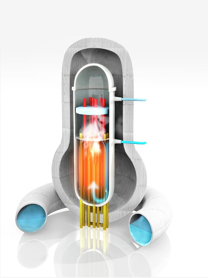 Boiling Water Nuclear Reactor by Ramon Andrade 3Dciencia / Science ...