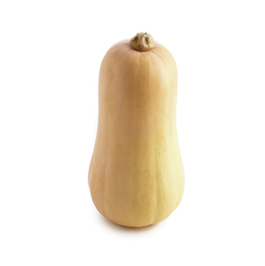 Butternut Squash by Science Photo Library