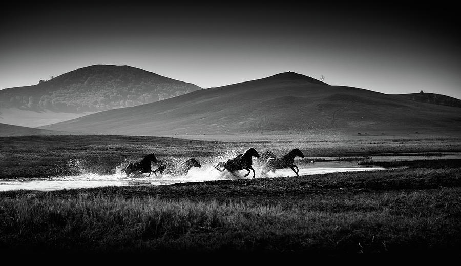 Gallop by Blackstation