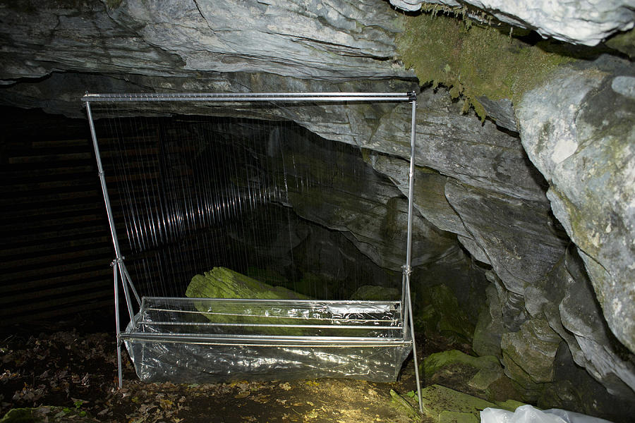 Harp Trap For Capturing Bats by Science Stock Photography