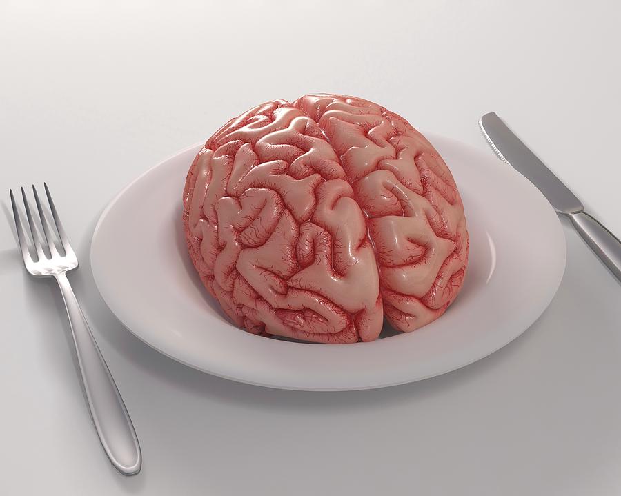 Human Brain On Dinner Plate by Ktsdesign / Sciencephotolibrary