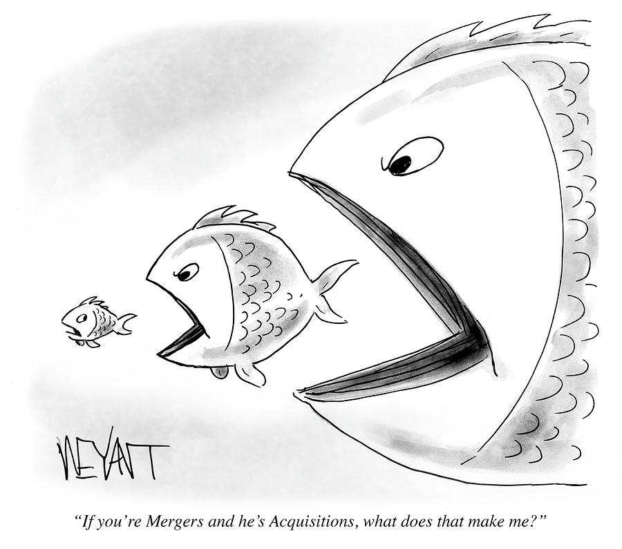 If You're Mergers And He's Acquistions What by Christopher Weyant