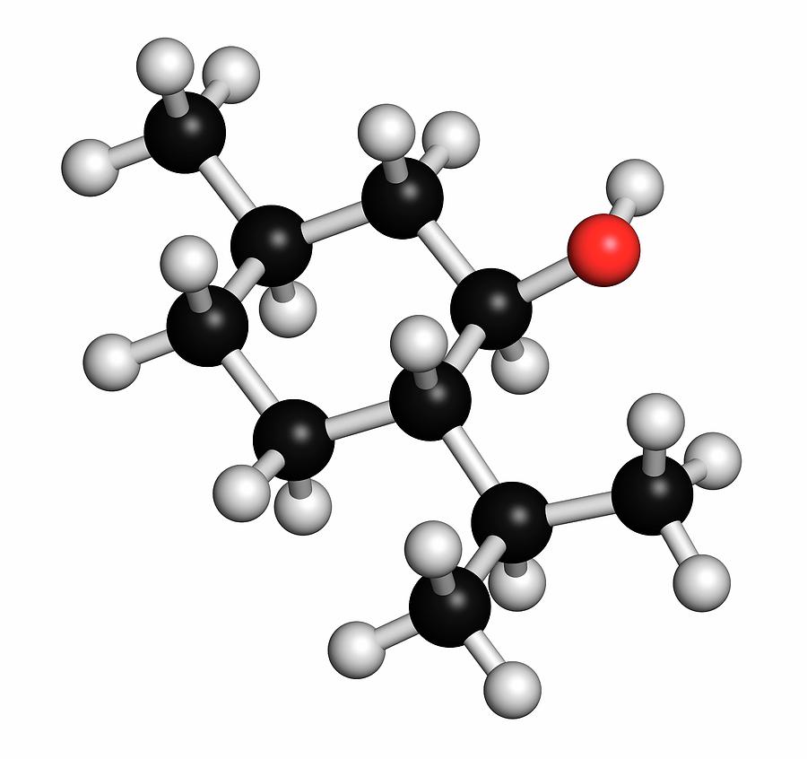 Menthol Molecule by Molekuul / Science Photo Library