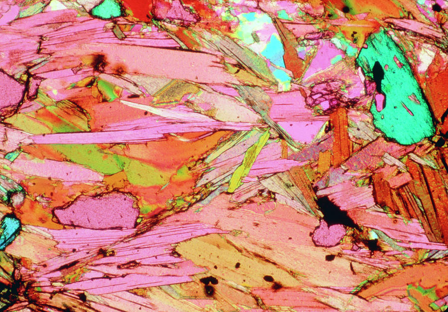 Polarised Lm Of Thin Section Of Mica Schist by Power And Syred ...