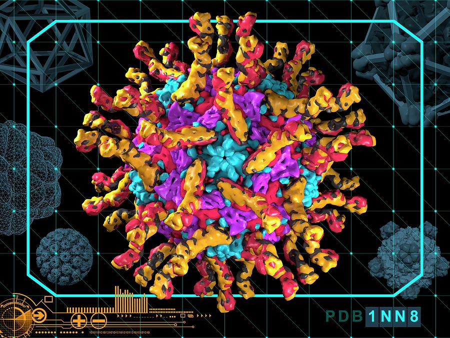 Poliovirus Capsid With Receptor by Laguna Design / Science Photo Library