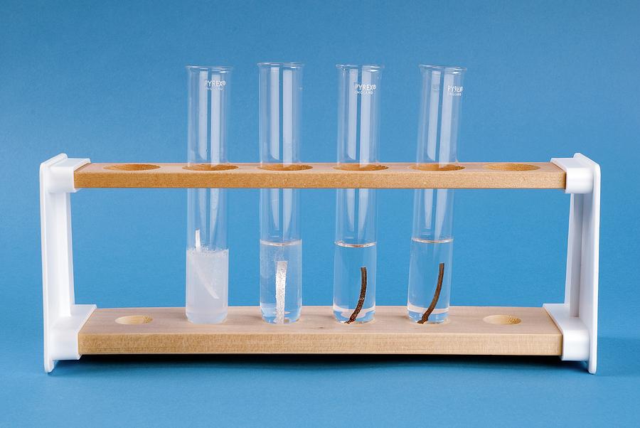 Reactivity Of Magnesium by Trevor Clifford Photography / Science Photo ...
