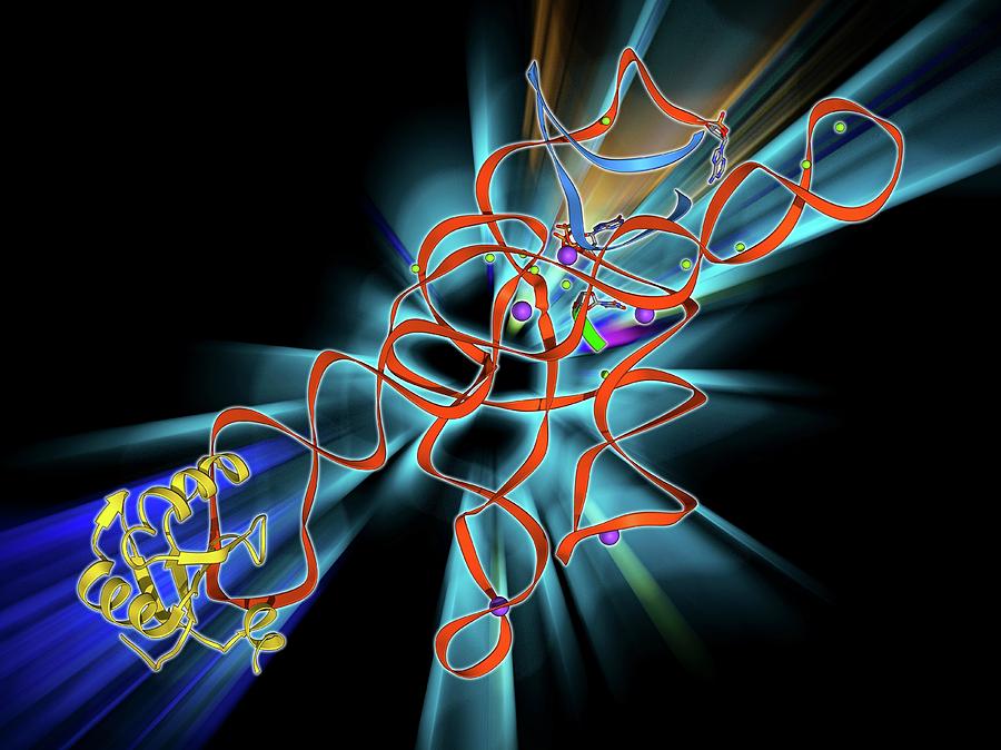 Self-splicing Rna Intron by Laguna Design / Science Photo Library