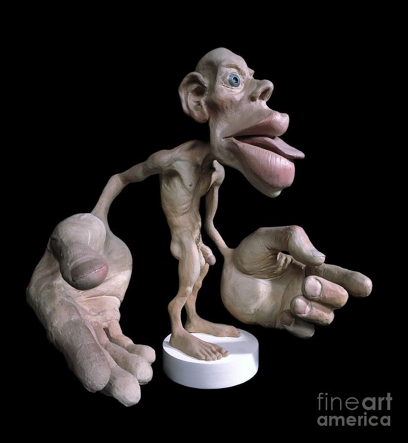 Sensory Homunculus by "Natural History Museum, London / Science Photo ...