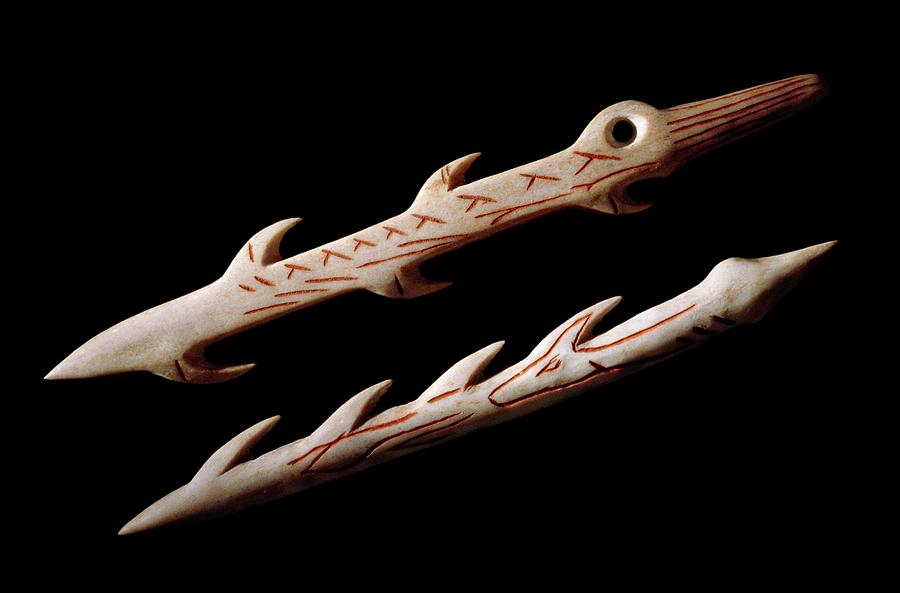 Stone Age (magdalenian) Harpoons by Javier Trueba / Msf / Science Photo ...