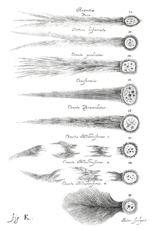 Types Of Comets by Royal Astronomical Society / Science Photo Library