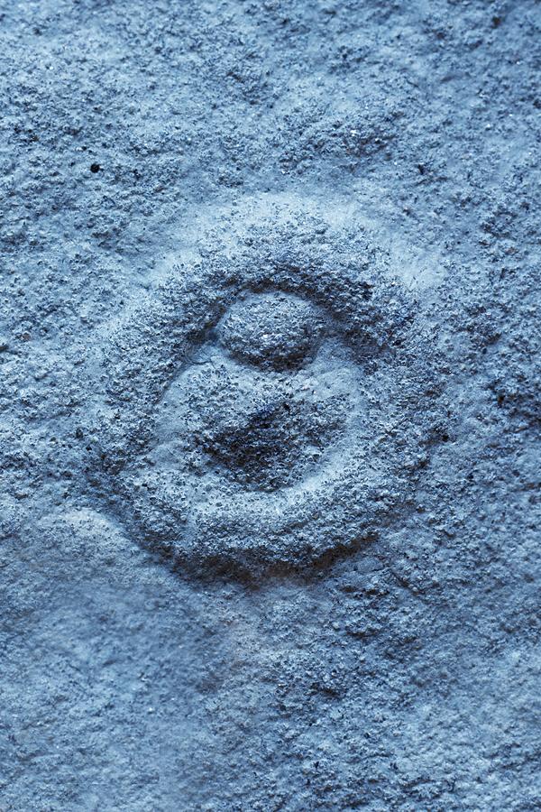 Vendian fossil by Sinclair Stammers / Science Photo Library