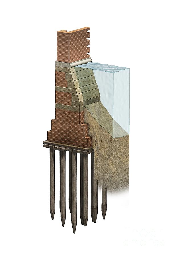 Venice Building Foundations, Artwork by Claus Lunau / Science Photo Library