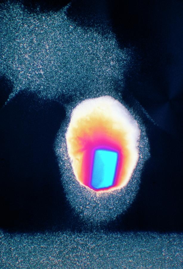 Vitamin D2 Crystal by David Parker / Science Photo Library