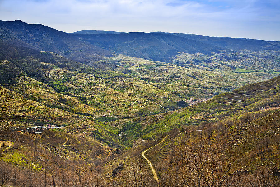 Spring Landscape In The Jerte Valley #11 by Gonzalo Azumendi