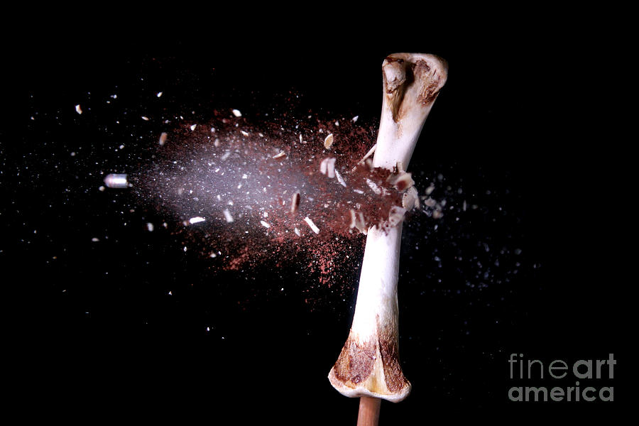 Bullet Hitting A Chicken Bone by Ted Kinsman