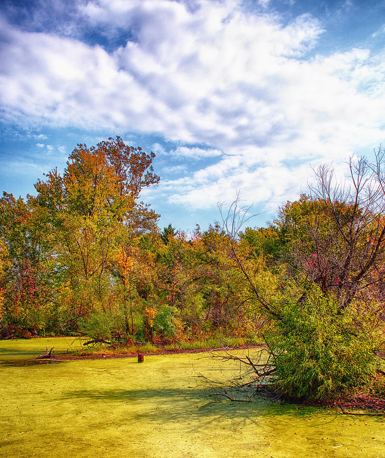 Busch Wildlife Swampy Autumn - 2 by Bill And Linda Tiepelman