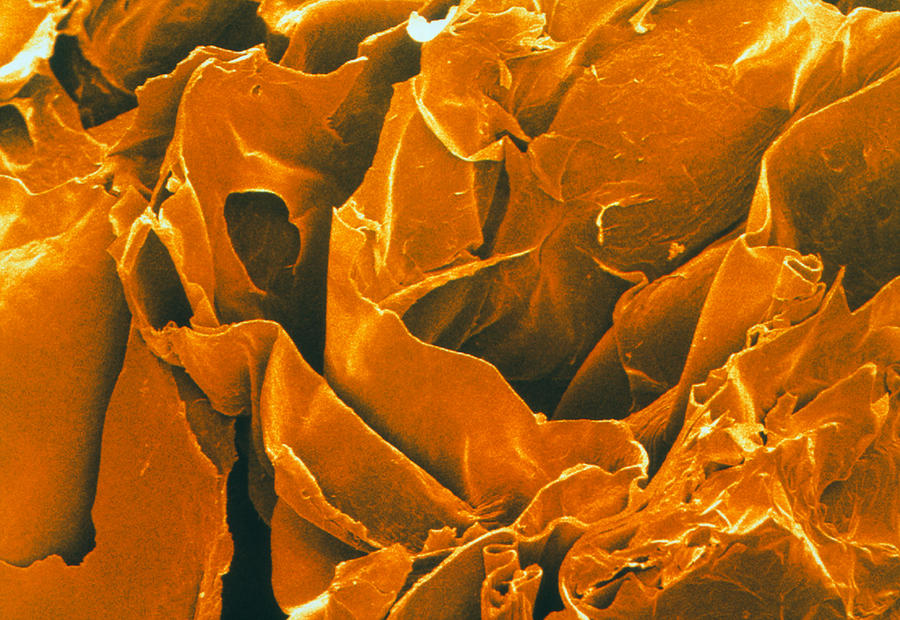 Coloured Sem Of Puffed Wheat Breakfast Cereal by Power And Syred ...