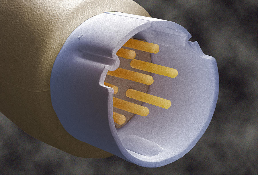 Mouse Connector, Sem by Power And Syred / Science Photo Library