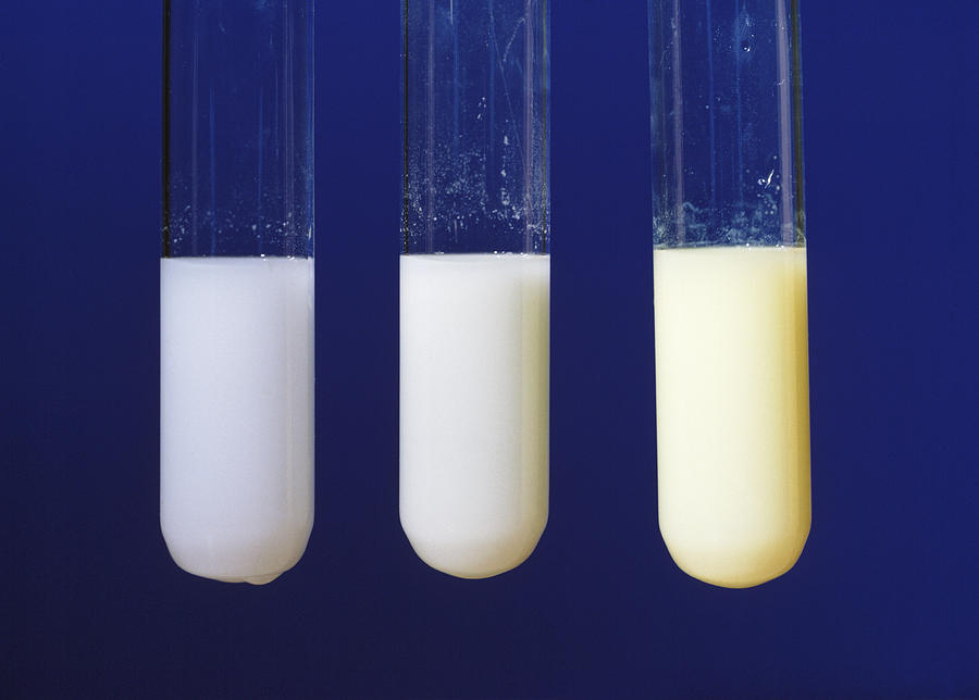 Silver Compounds by Andrew Lambert Photography / Science Photo Library