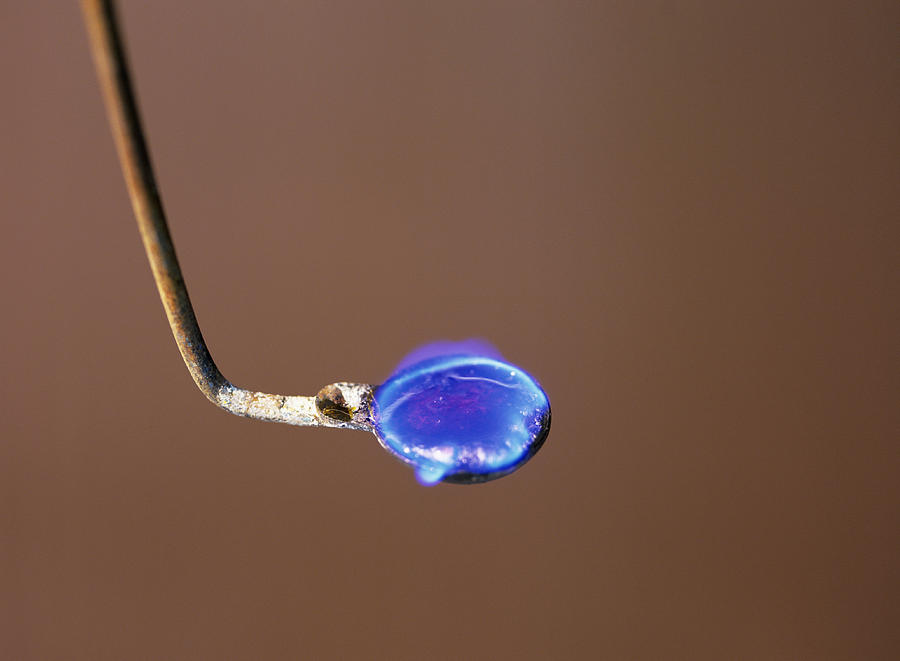 Sulphur Flame Test by Andrew Lambert Photography / Science Photo Library