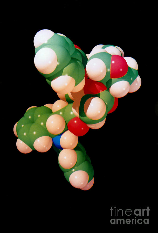 Taxol Molecule by Science Source