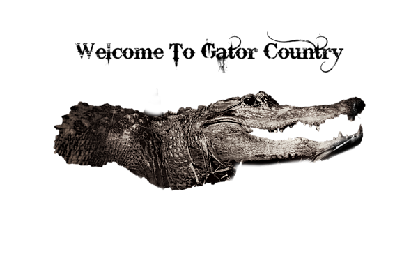 Welcome to Gator Country T-Shirt by Mark Andrew Thomas - Mark Andrew Thomas