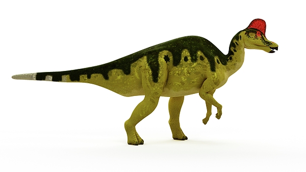 Illustration Of A Hadro Corythosaurus Greeting Card by 3Dmedisphere ...