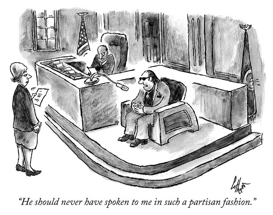 A partisan fashion by Frank Cotham