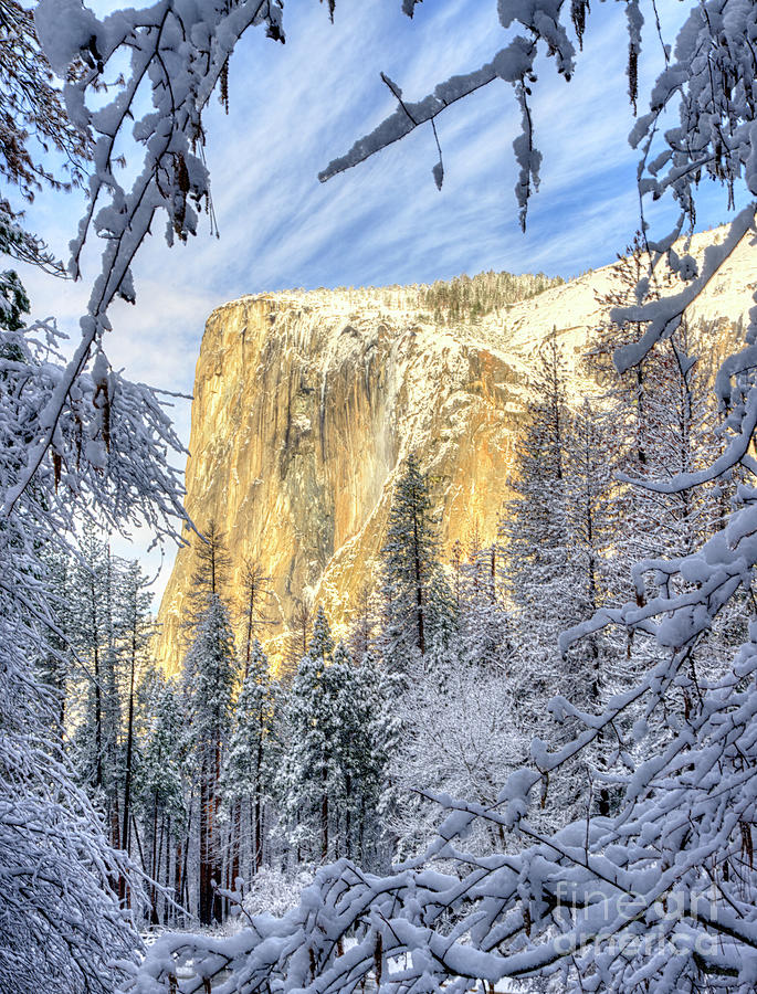El Capitan Winter Majesty Yosemite National Park by Wayne Moran ...