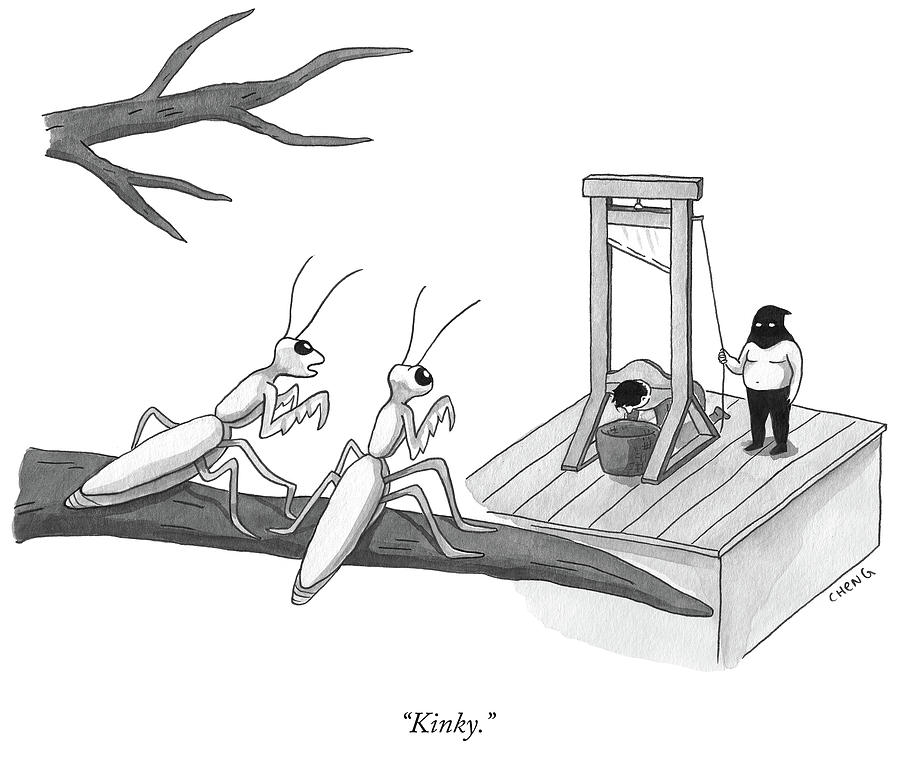 Kinky by Alice Cheng