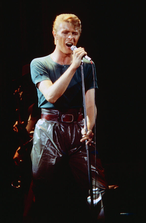 David Bowie In Concert #1 by Bob Riha Jr