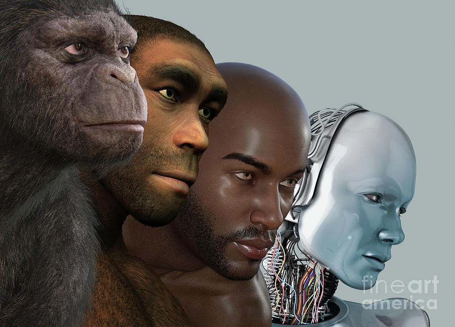 Human Evolution #1 by Victor Habbick Visions / Science Photo Library