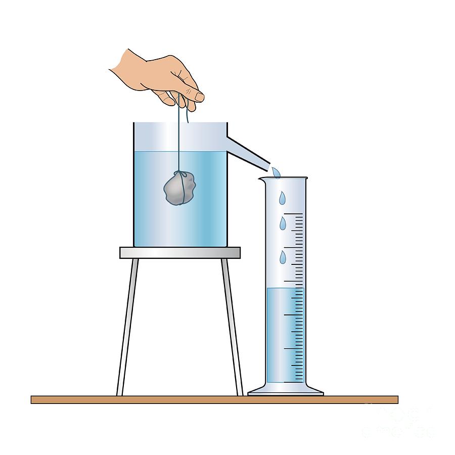 Measuring The Volume Of An Irregular Object #1 by Science Photo Library