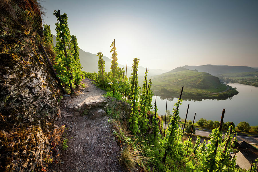 Moselle At Bremm #1 by Jorg Greuel
