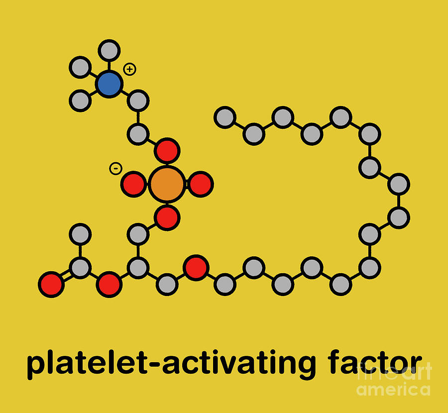 Platelet Activating Factor Signaling Molecule #1 by Molekuul / Science ...