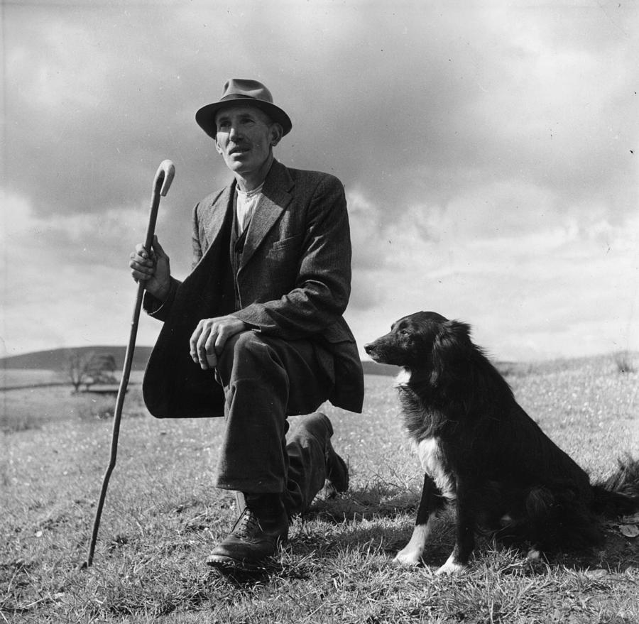 Shepherd #1 by Bert Hardy