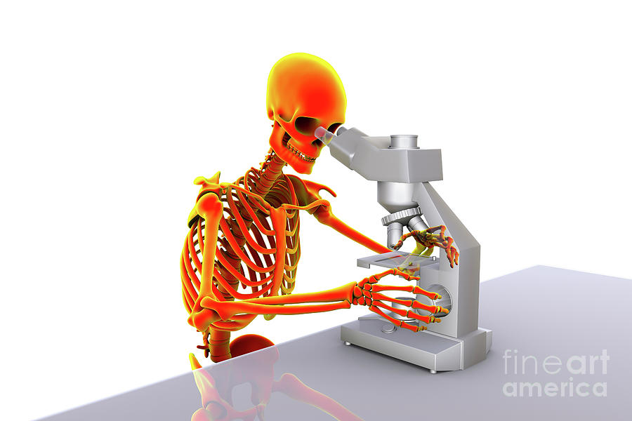 Musculoskeletal Disorders In Lab Workers #15 by Kateryna Kon / Science ...